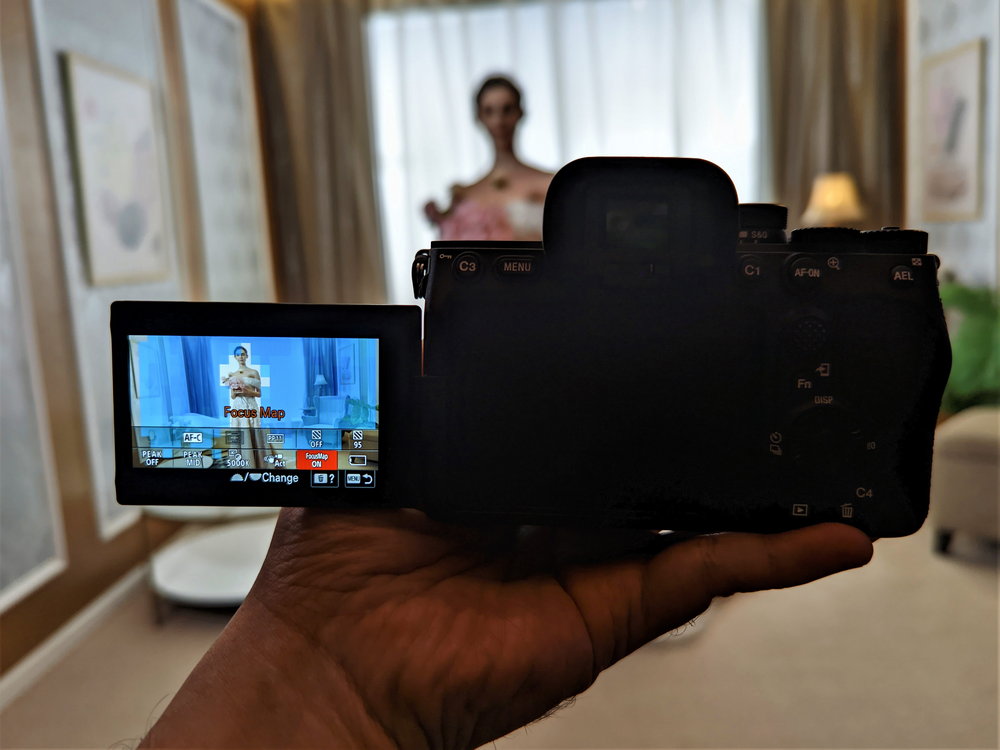 Sony Alpha 7 IV - Viewfinder - Hybrid.co.id